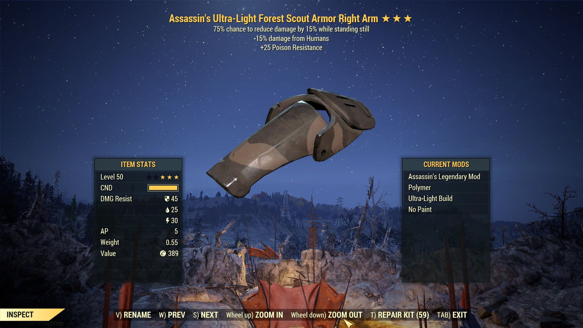 Buy Assassin's Sentinel Scout Armo in FALLOUT 76 Items - Offer #2530737734