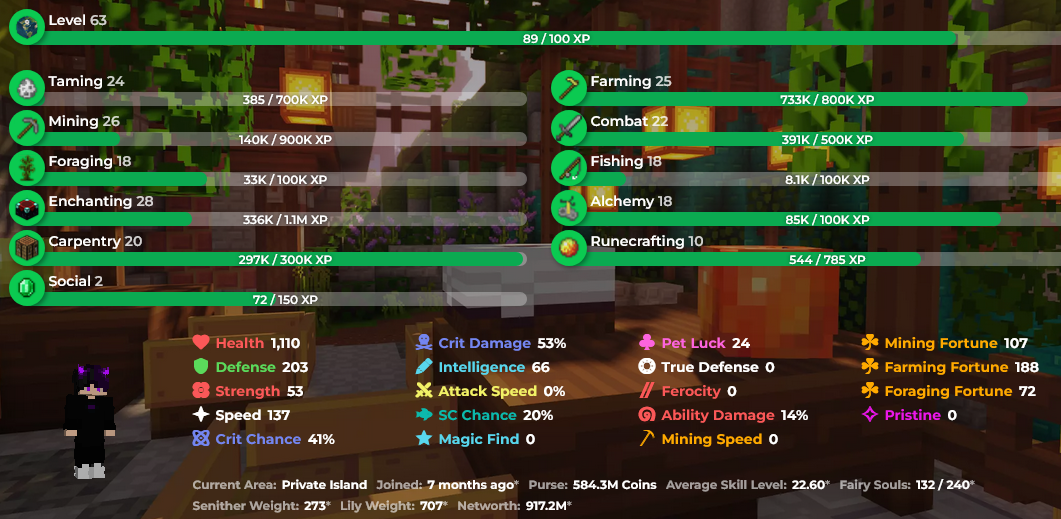 Buy VIP HYPIXEL ACCOUNT 920M NW CA in MINECRAFT: HYPIXEL Accounts ...