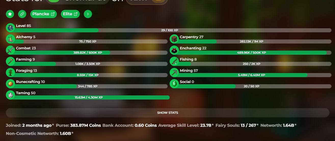 Buy Hypixel Skyblock ACCOUNT in MINECRAFT: HYPIXEL Profiles - Offer ...