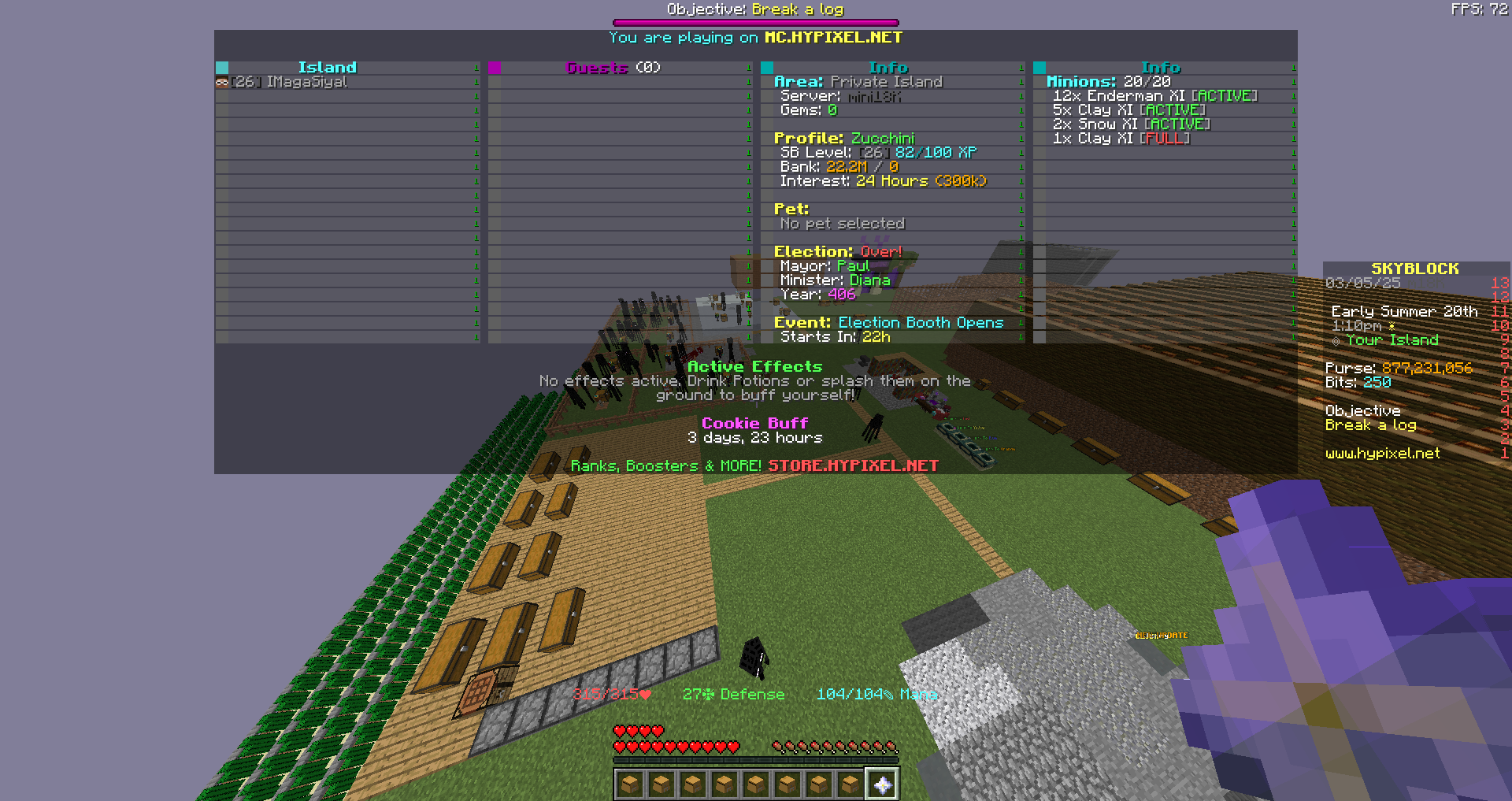 Buy ⚡ HYPIXEL SKYBLOCK ISLAND / in MINECRAFT: HYPIXEL Profiles - Offer ...