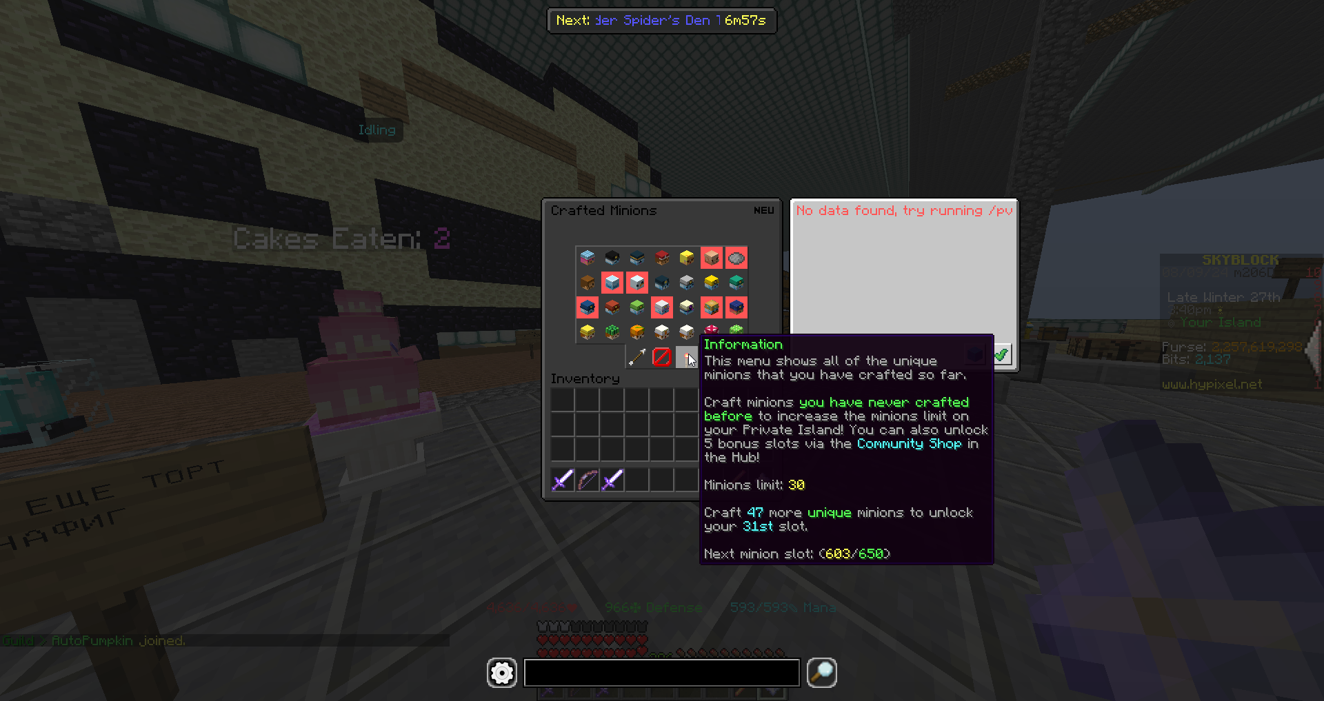 Buy ️ VIP RANK | NETWORTH 19. in MINECRAFT: HYPIXEL Accounts - Offer ...