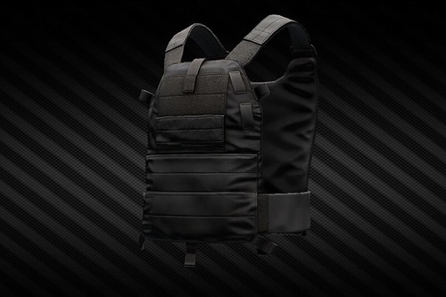 Buy Slick/Hexgrid Plate Carrier to in ESCAPE FROM TARKOV Items - Offer ...