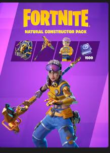 Buy [GLOBAL] Natural Constructor P in FORTNITE Skins - Offer #2416030075