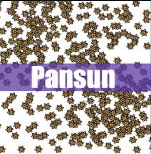 Buy All Platform Pansun 10k p in TEMTEM Pansun - Offer #2519560580