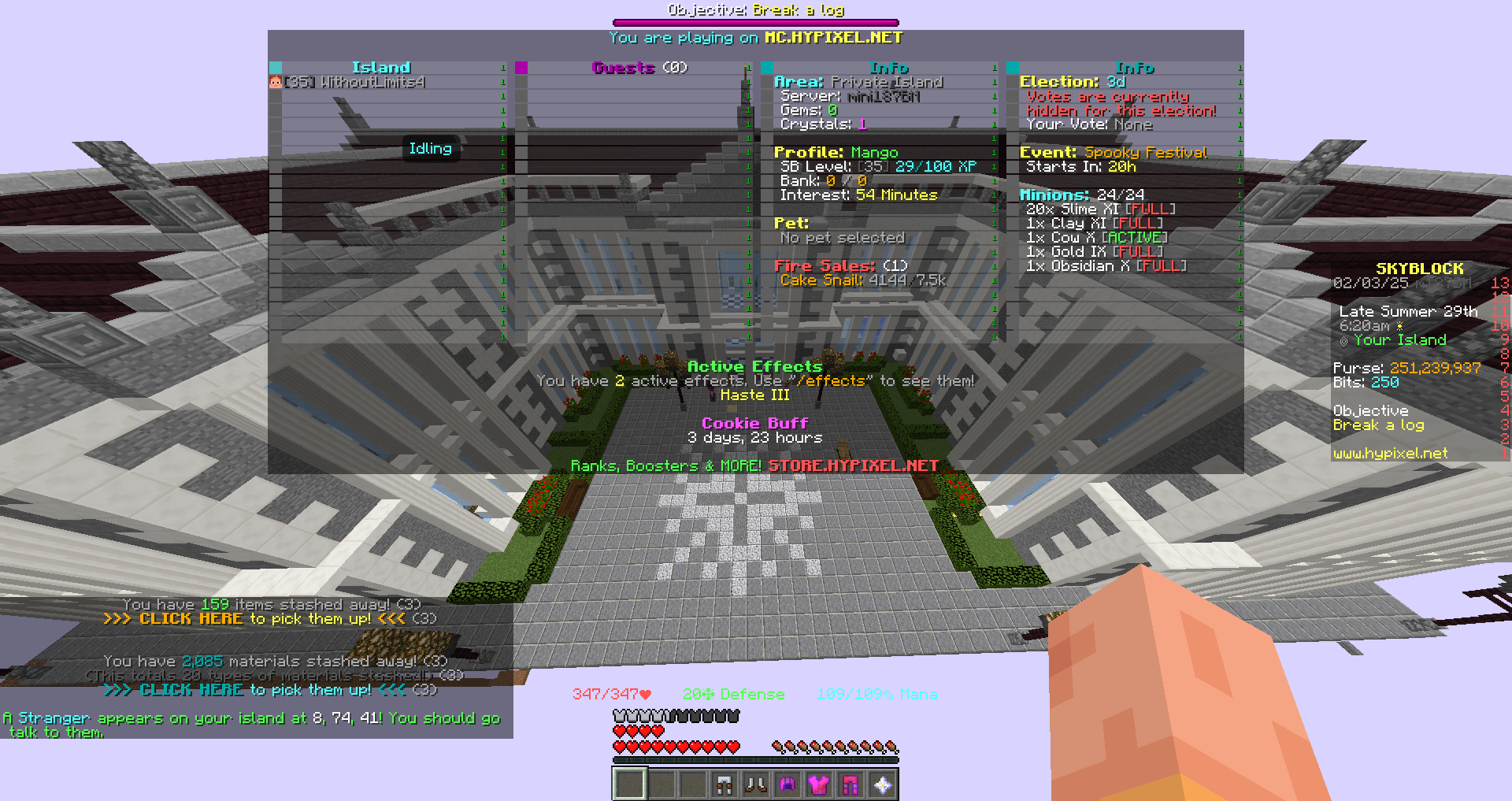 Buy ⚡ HYPIXEL SKYBLOCK ISLAND / in MINECRAFT: HYPIXEL Profiles - Offer ...