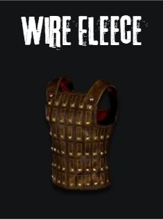 Buy ETHEREAL WIRE FLEECE 802DEF 11 in DIABLO 2 RESURRECTED Items ...