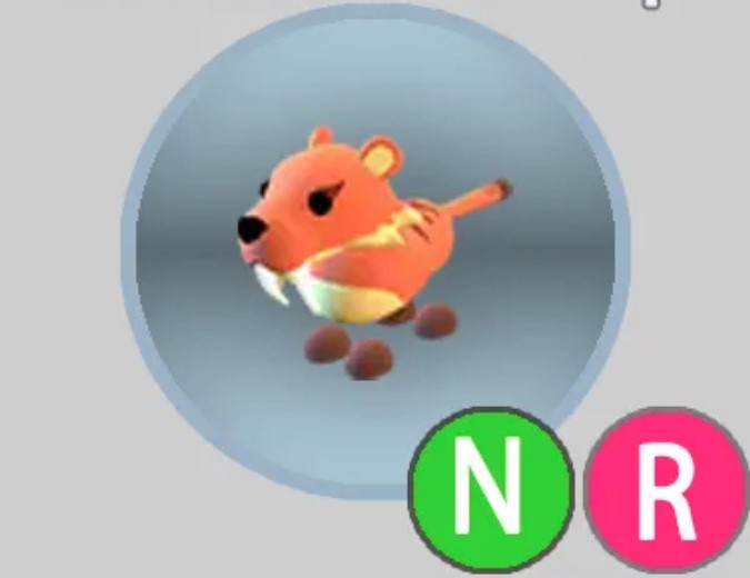 Buy Sabertooth NR in ROBLOX Items - Offer #2310221292