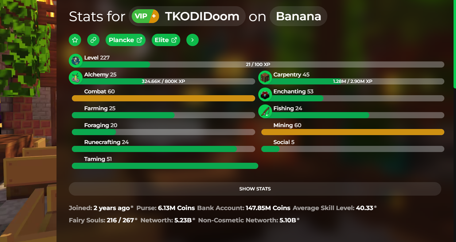 Buy Vip + 5.2b NW - SA 40 - CAT in MINECRAFT: HYPIXEL Accounts - Offer ...