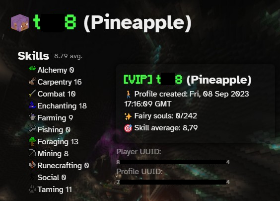 Buy [VIP] HYPIXEL SKYBLOCK ACCOUNT in MINECRAFT: HYPIXEL Accounts ...