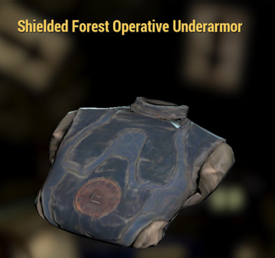 Buy Shielded Lining Operative Unde in FALLOUT 76 Items - Offer #251637460