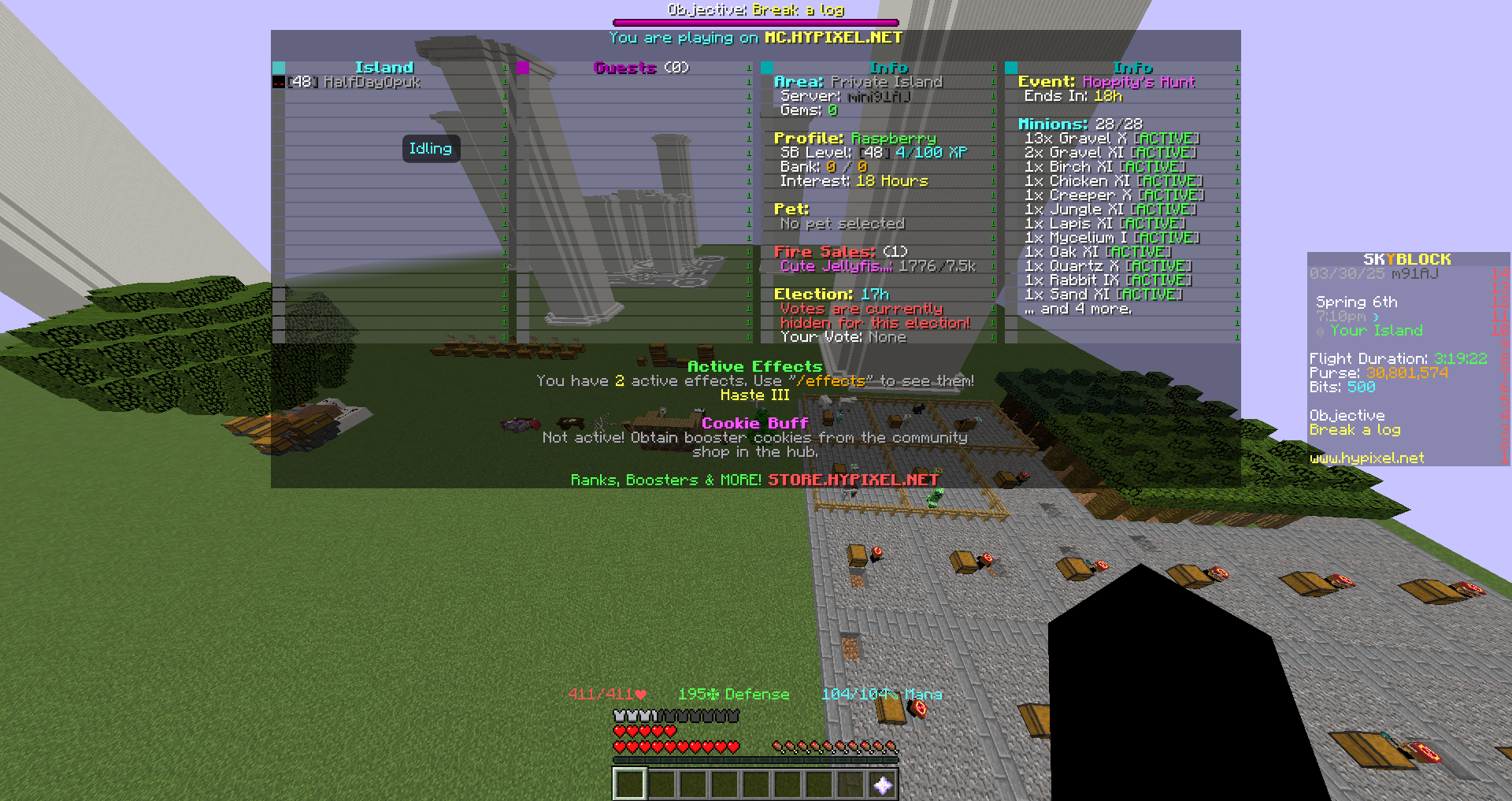 Buy ⚡ HYPIXEL SKYBLOCK ISLAND / in MINECRAFT: HYPIXEL Profiles - Offer ...