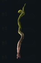 Buy Replica Fencoil, Gnarled Branc in PATH OF EXILE Items - Offer ...