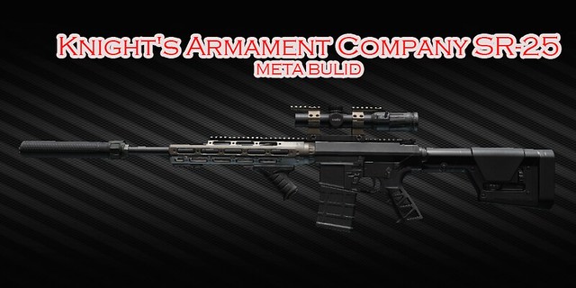 Buy SR-25 7.62x51 Full Sniper set in ESCAPE FROM TARKOV Items - Offer ...